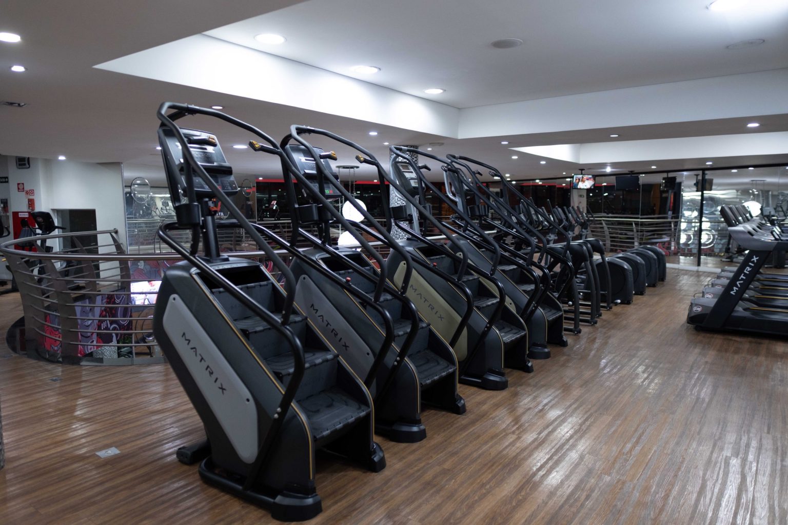 Aprenda alguns dos melhores exercícios para treinar bíceps - V4 Academia